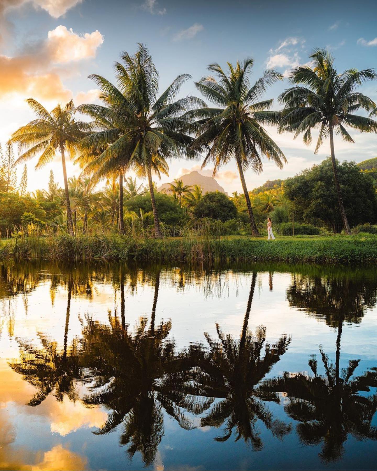 Mauritius Island - globe40